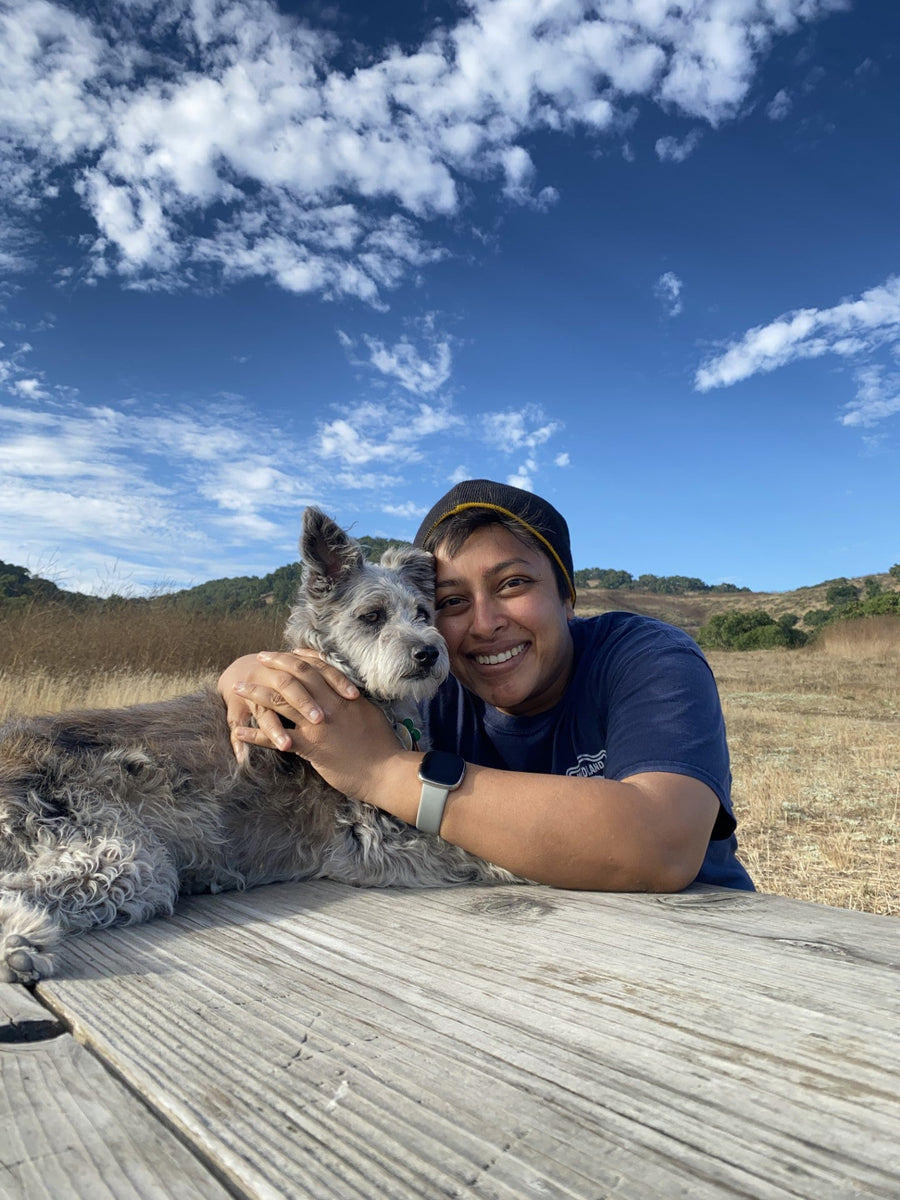 How to Make Your Dog Fall in Love With You – TIMBERDOG