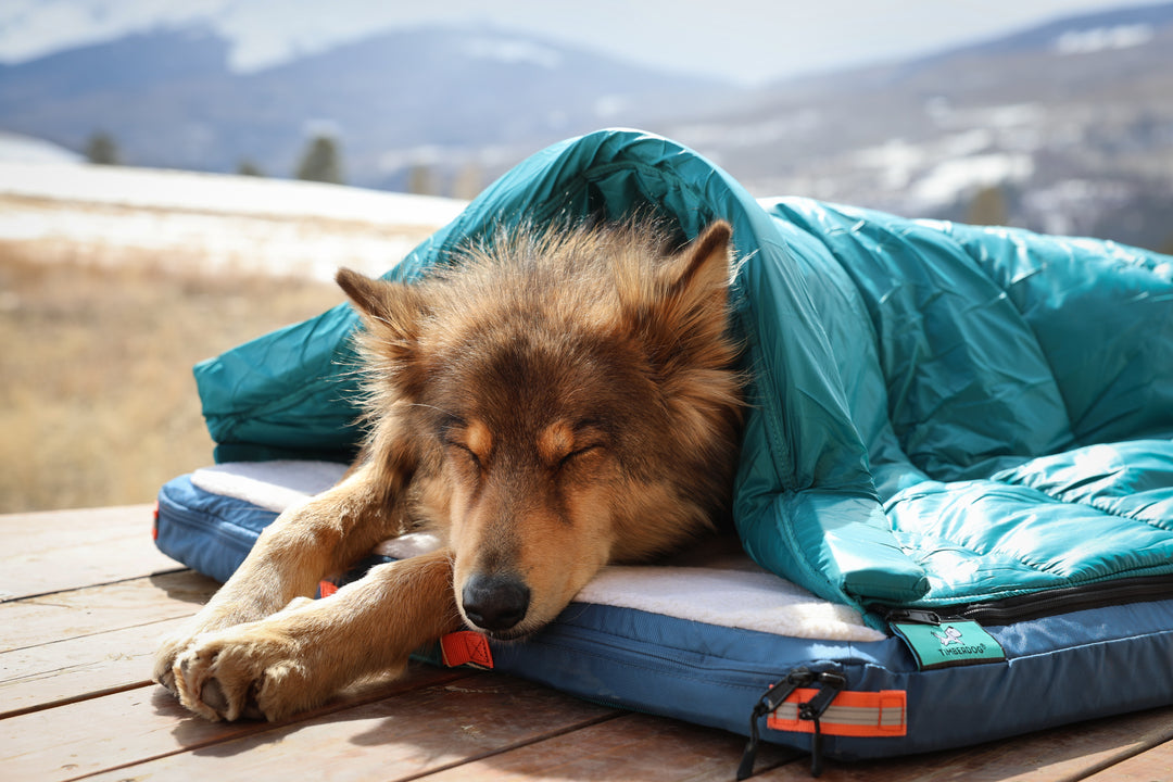 TIMBERDOG: The World's Best Pet Bed
